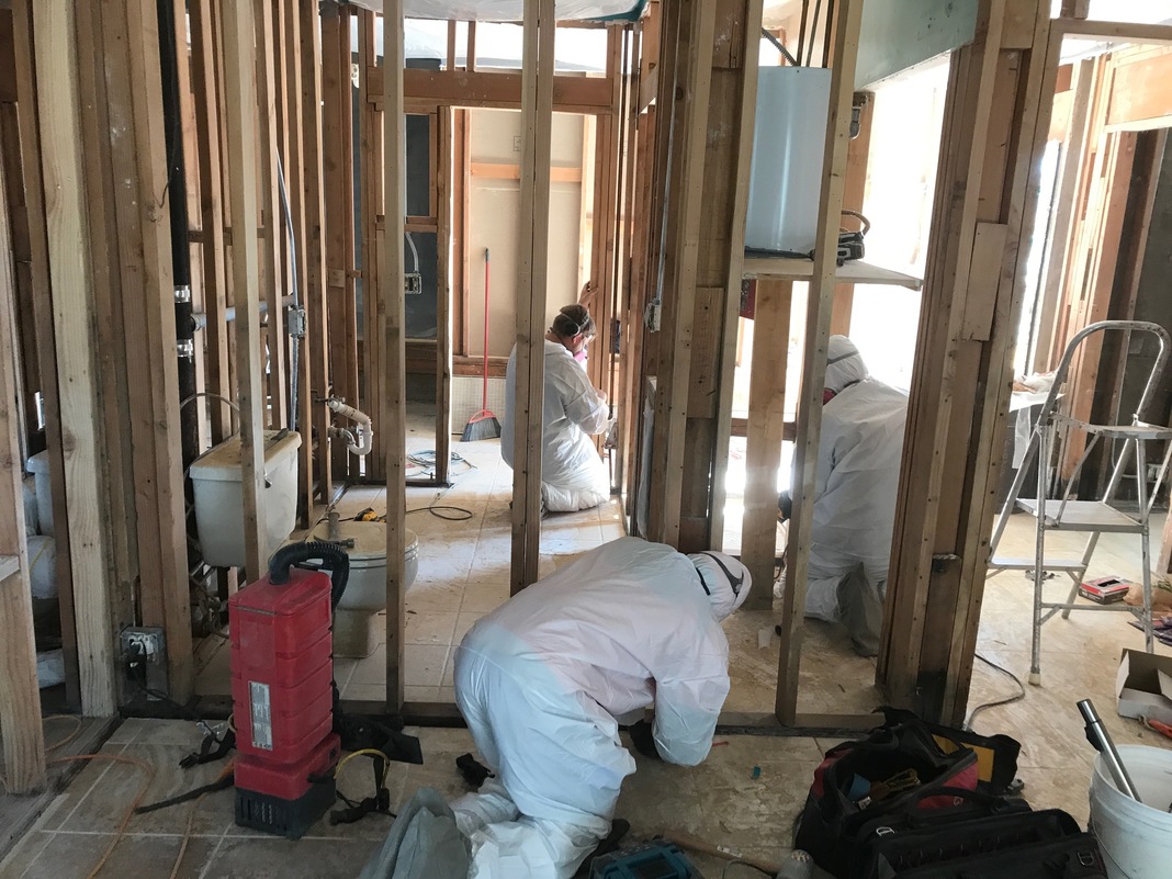 Mold Removal | Mold Remediation Services in Albany | Open 24/7